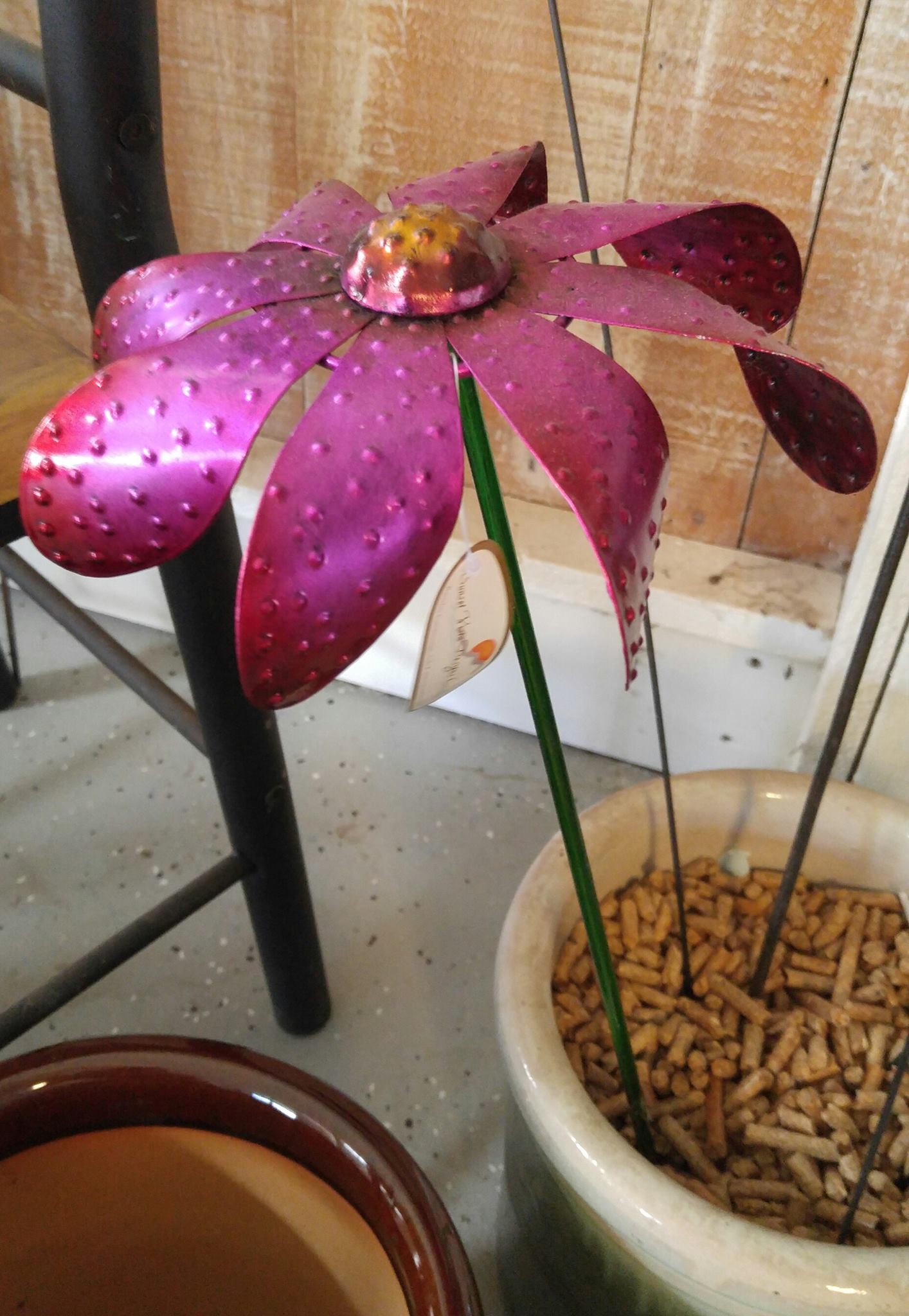 Container Garden Contest!